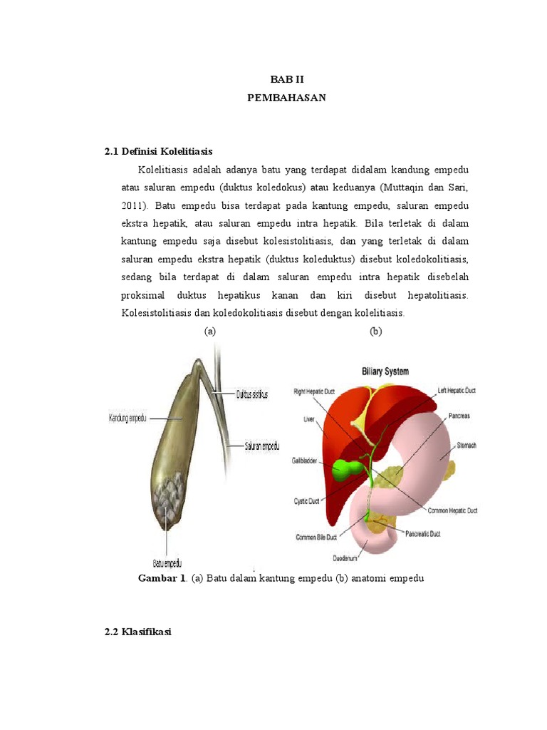 LP Kolelitiasis | PDF | Kesehatan Holistik