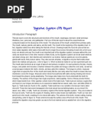 Mouse Parts | PDF | Organ (Anatomy) | Digestive System