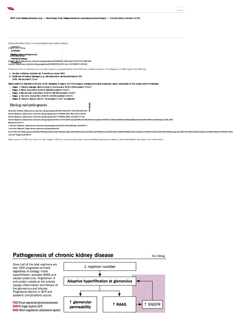 Chronic Kidney Disease (CKD) - McMaster Pathophysiology Review | PDF ...