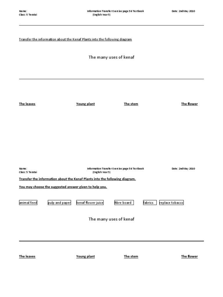 English Year 5 | PDF