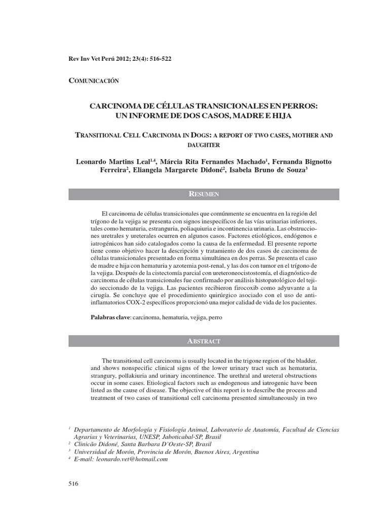 Carcinoma de Células Transicionales en Perros | PDF | Cáncer | Biología