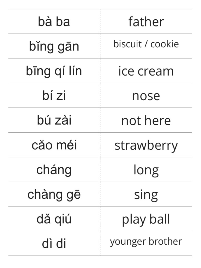 Svcs Vocabulary-45-Pinyin | PDF