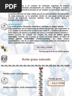 Sintesis Trioleina Completa | PDF