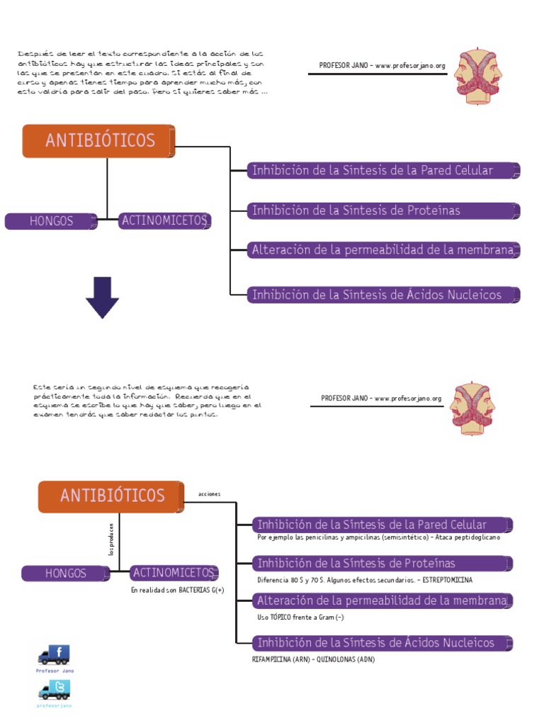 ESQUEMAS ACCIÓN ANTIBIÓTICOS