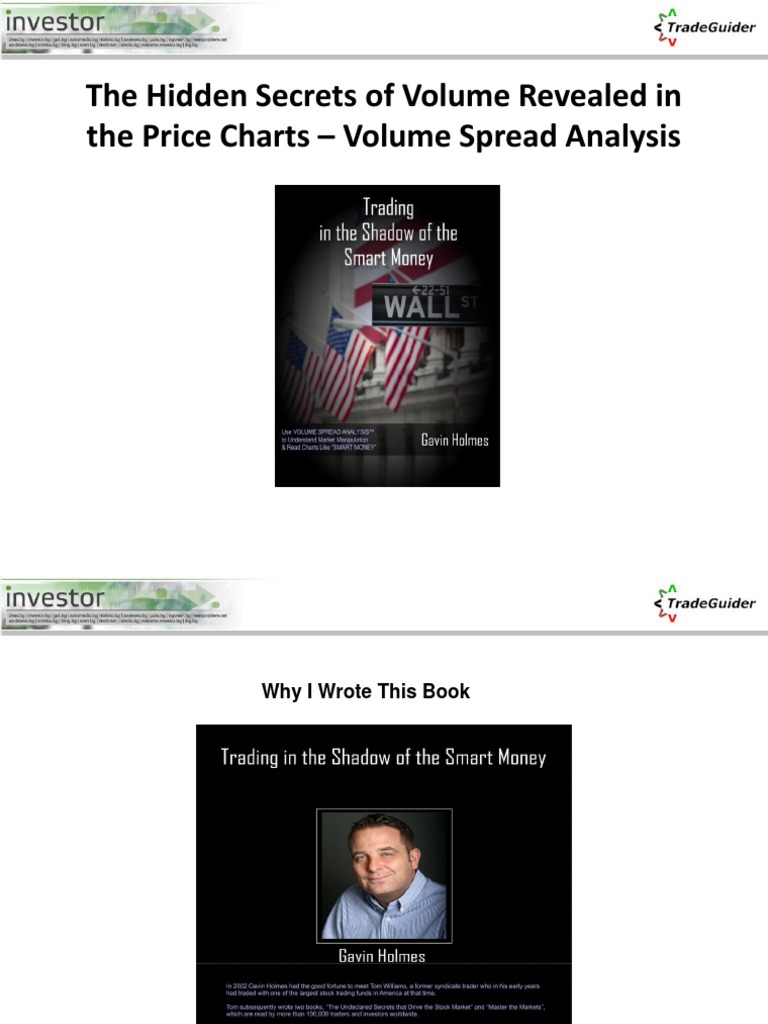 3 1 Gavin Holmes PDF | PDF | Technical Analysis | Financial Markets