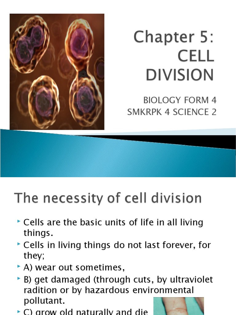 Understanding Cell Division and Cloning | PDF | Biology | Mitosis