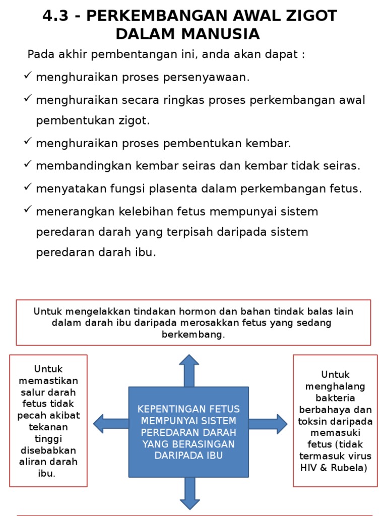 Perkembangan Awal Zigot | PDF