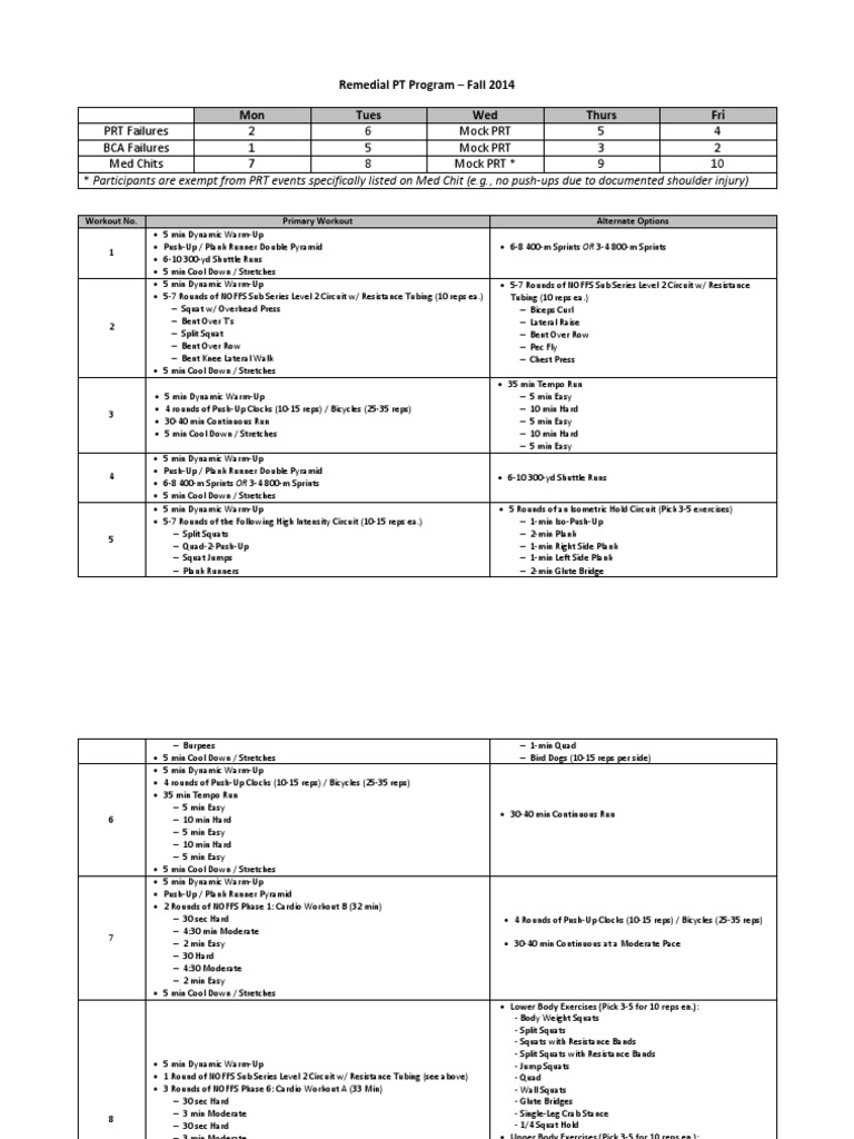 Remedial PT Program | PDF | Self Care | Sports