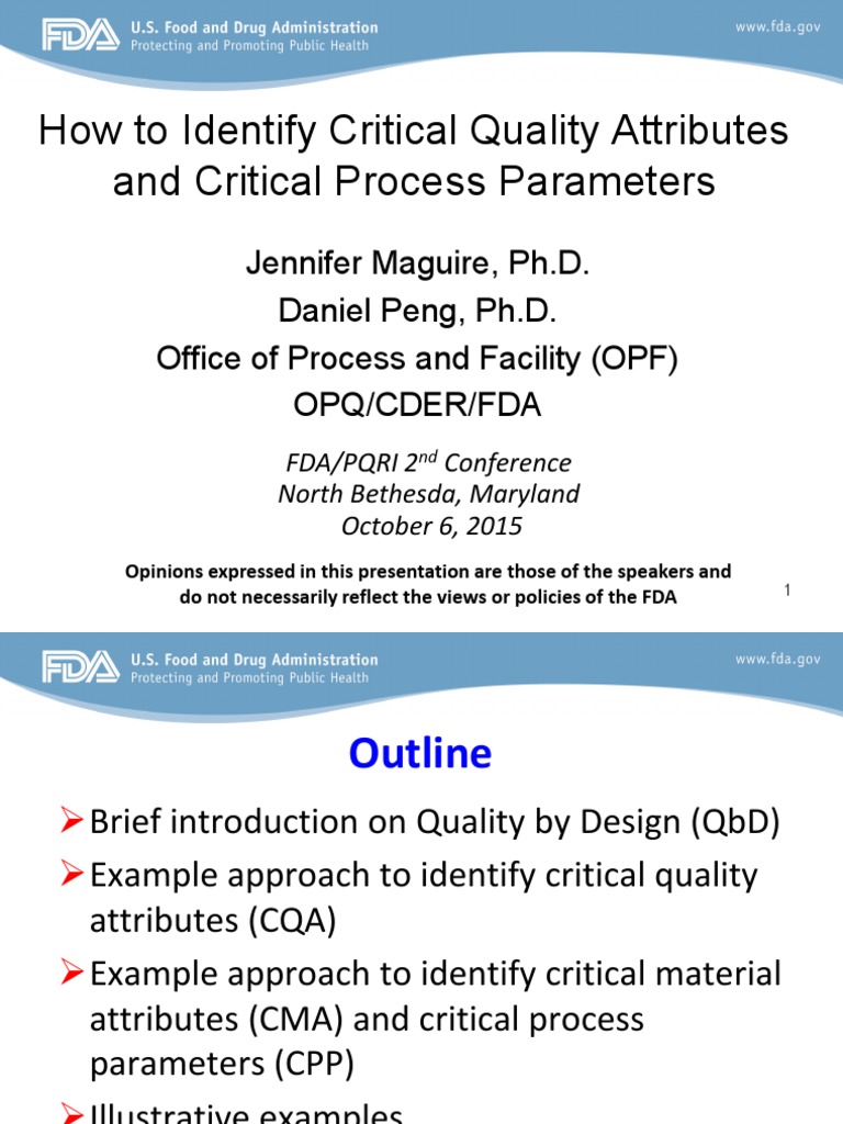 01 How To Identify CQA CPP | PDF