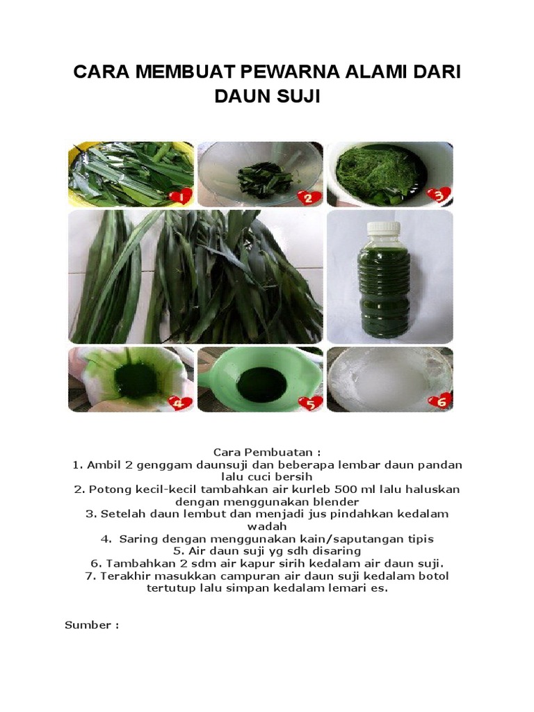 Cara Membuat Pewarna Alami Dari Daun Suji | PDF