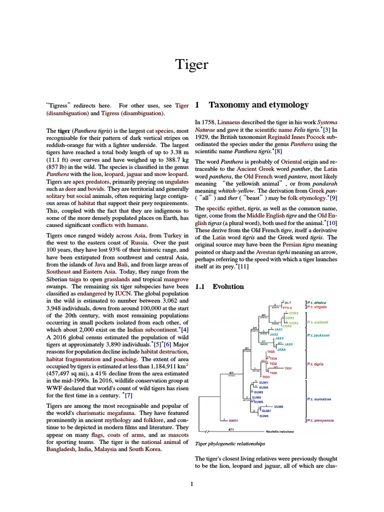Tiger | PDF | Tiger | Lion