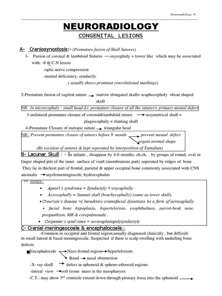 Master Radiology Notes Neuro | PDF | Human Brain | Skull