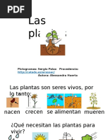 Las Plantas Vocabulary | PDF