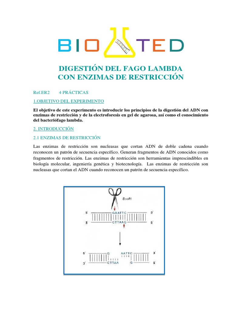 PROTOCOLO Fago Lambda | PDF | Salud y bienestar | Ciencia y matemáticas