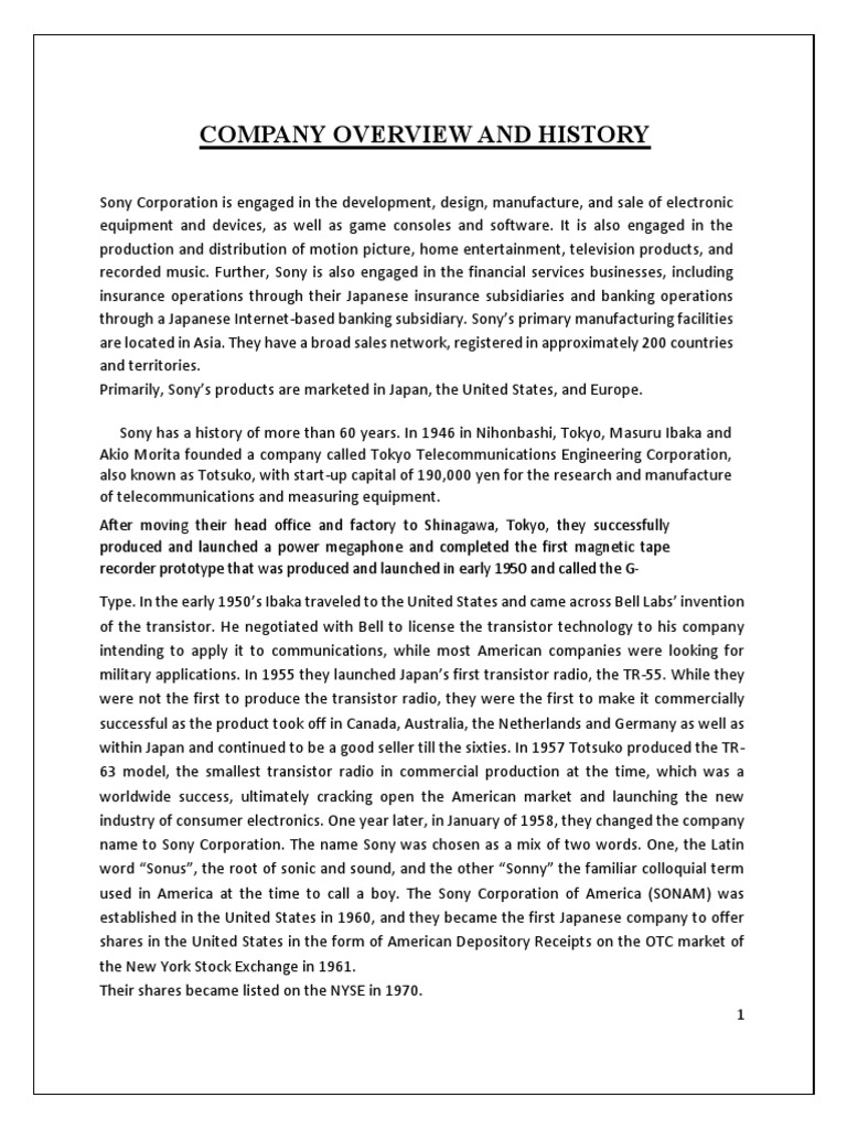 Sony Company Overview | PDF | Sony | Market Segmentation
