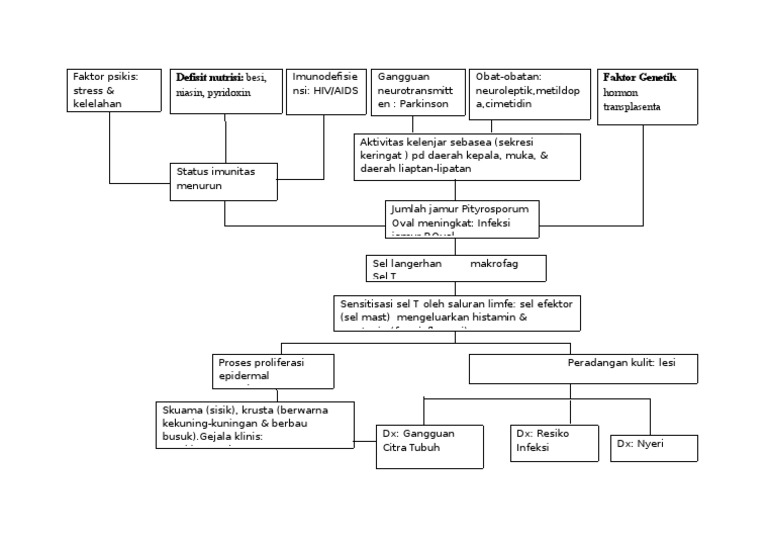 WOC Dermatitis Seboroik.docx