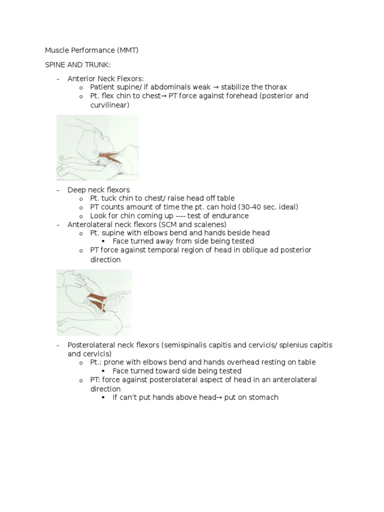 MMT Spine and Trunk | PDF | Anatomical Terms Of Motion | Human Anatomy