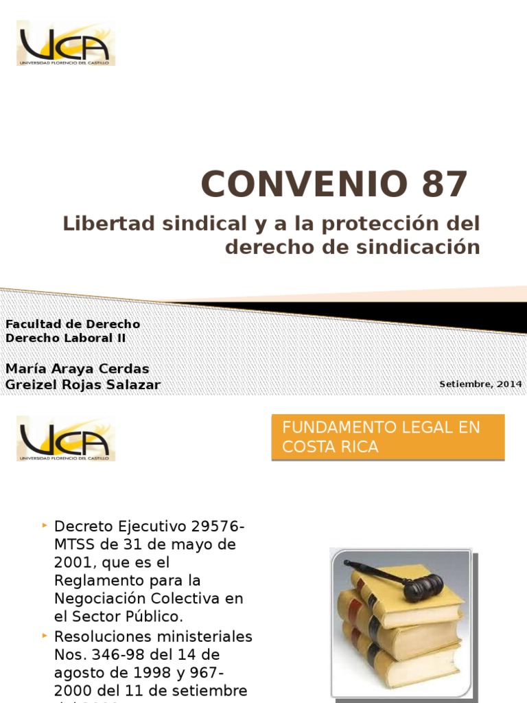 Convenio 87 Oit | PDF