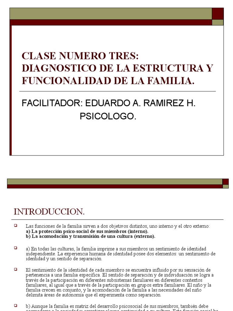 Estructura Familiar | Familia | Adultos