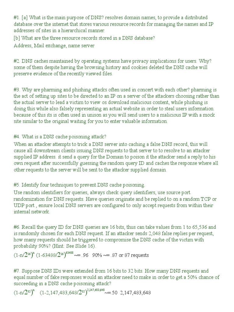 DNS and Network Security Basics | PDF | Domain Name System | Firewall ...