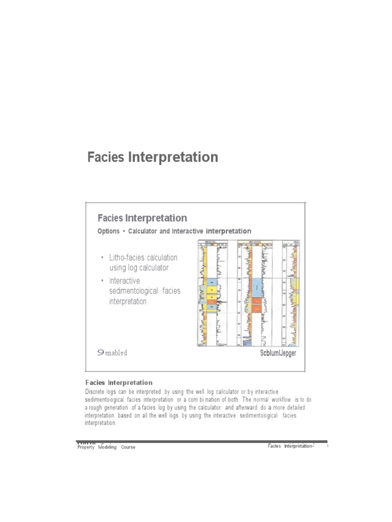 Facies Interpretation - Log Calculation & Interactive Sedimentology ...