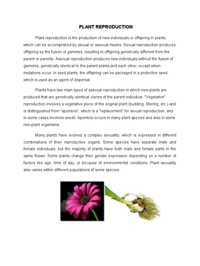 Plant Reproduction | PDF | Fertilisation | Plants