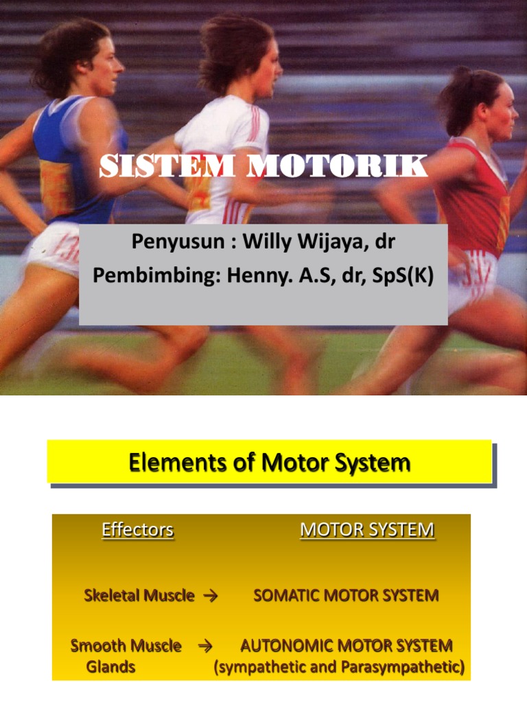 1.sistem Motorik | PDF | Motor Neuron | Organ (Anatomy)