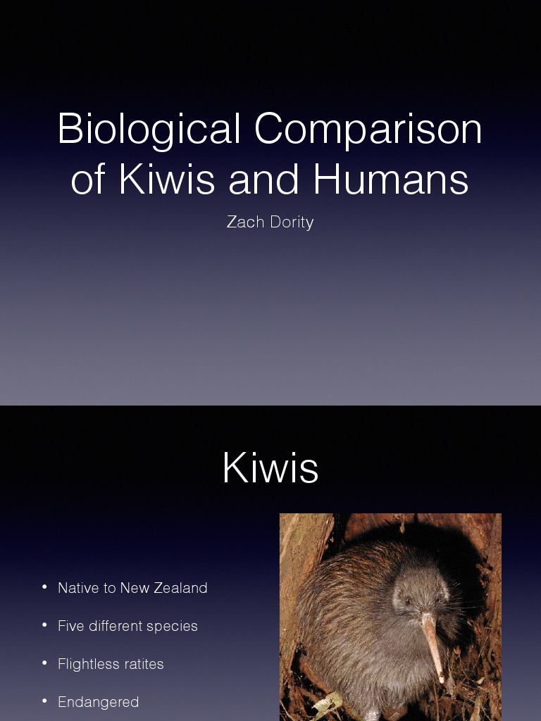 Kiwi Species and Biological Insights | PDF | Adrenal Gland | Bone