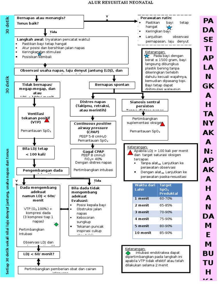 Alur Resusitasi Neonatal | PDF | Kesehatan Holistik
