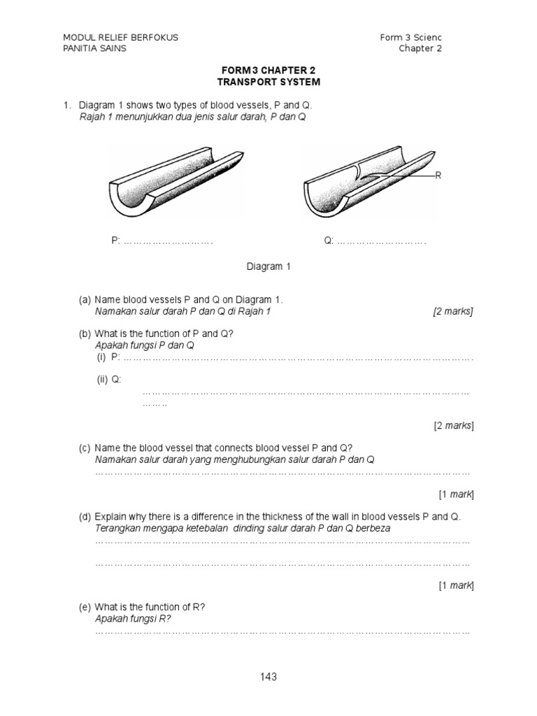 Form 3 Chapter 2 | PDF | Circulatory System | Physiology