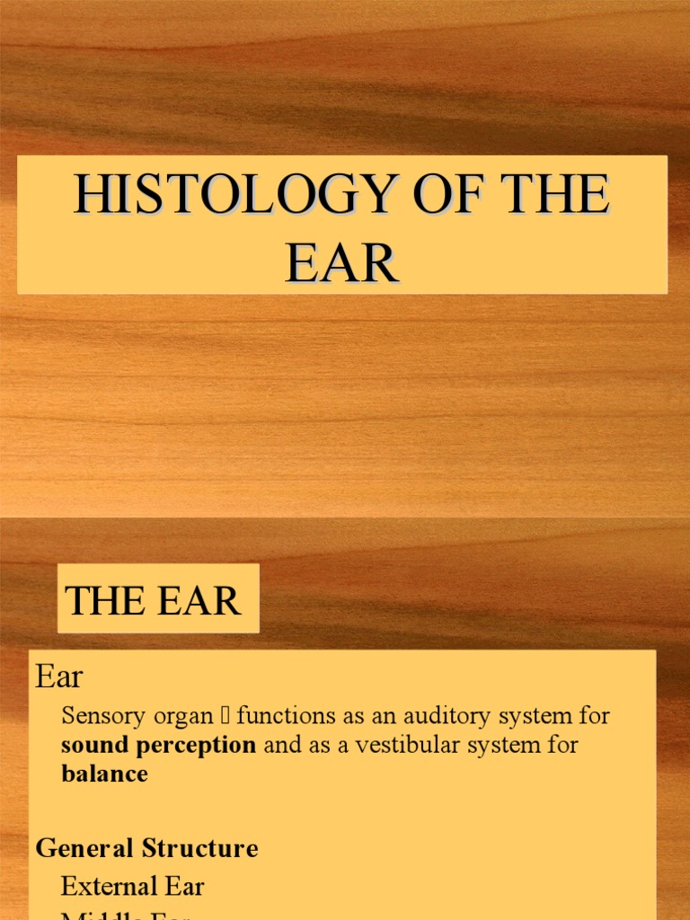 Histology of The EAR Histology of The EAR | PDF | Ear | Human Head And Neck