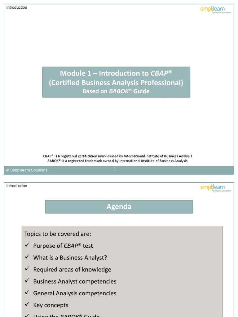 CBAP - Module 01 - V1.1 | PDF | Competence (Human Resources) | Business ...