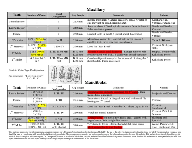 Endo-Morphology-Chart.pdf | Tooth | Dental Anatomy
