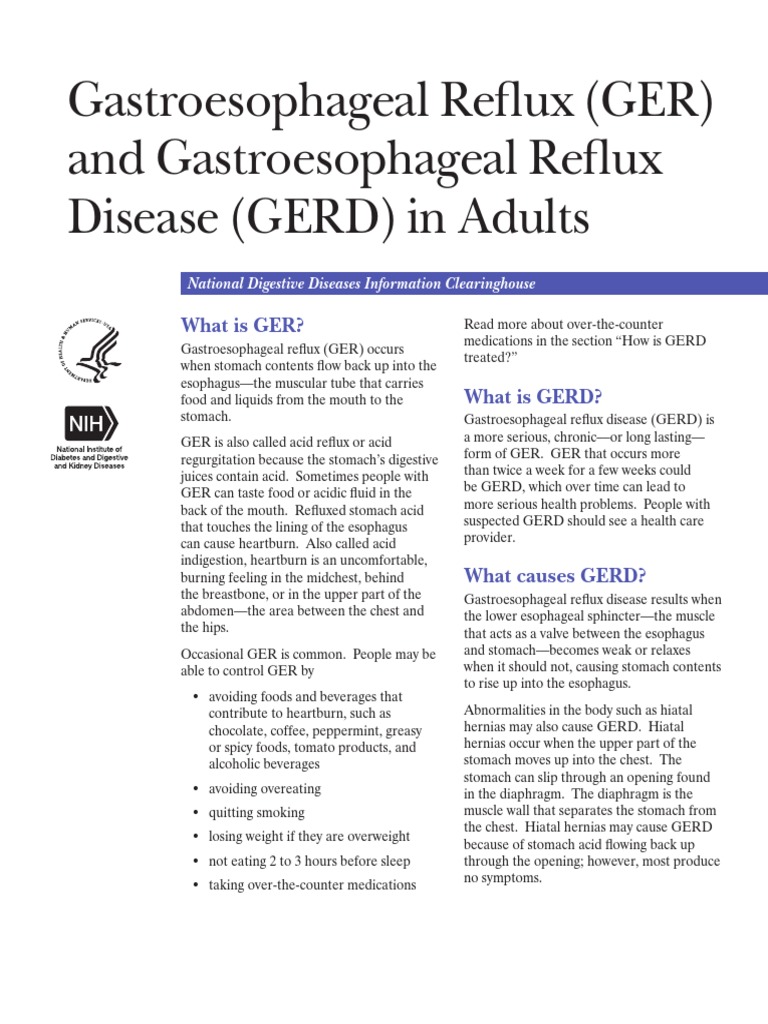 Gerd Patient Information Sheet: Gerd Food List – BKIE