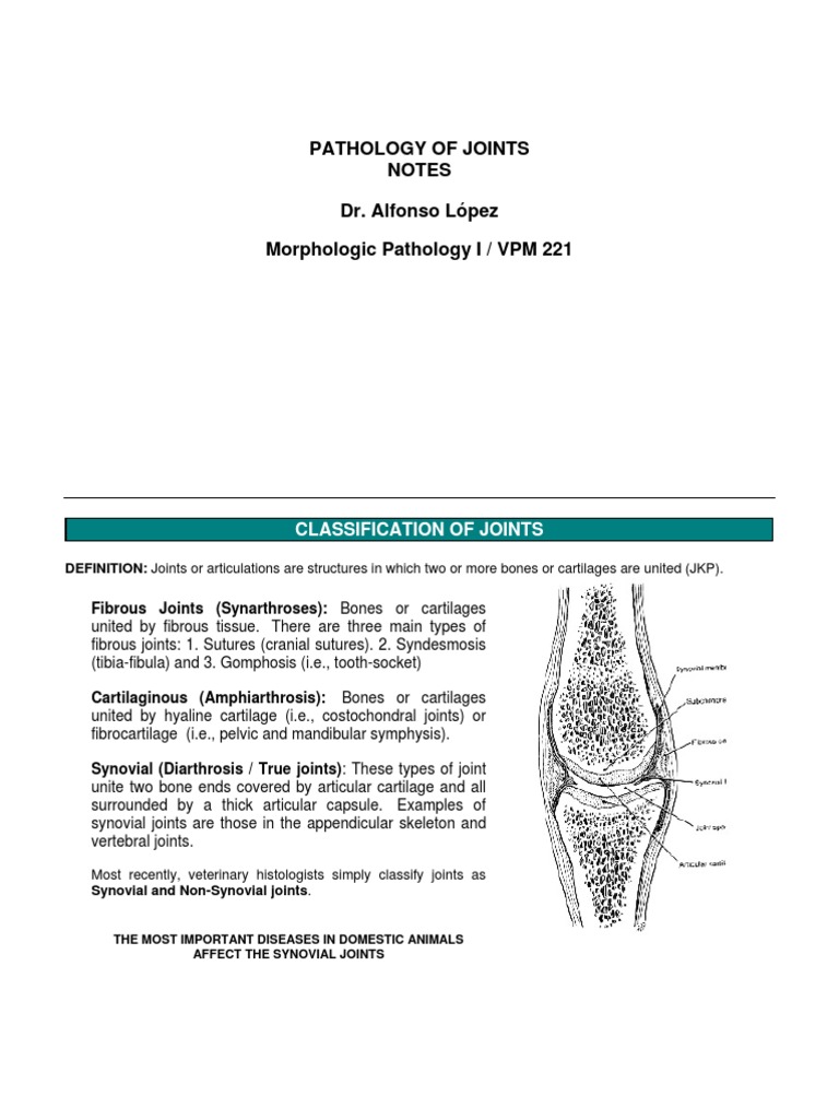 Pathology of Joints | Vertebral Column | Musculoskeletal System