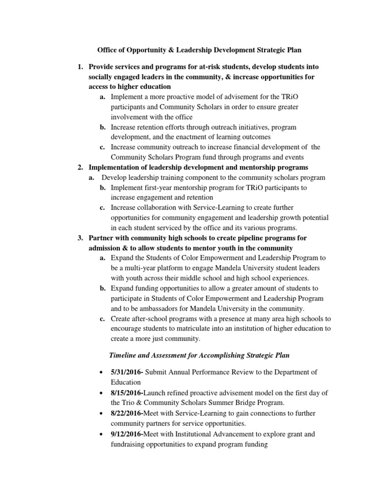 Capstone Strategic Plan Pdf Mentorship Service Learning