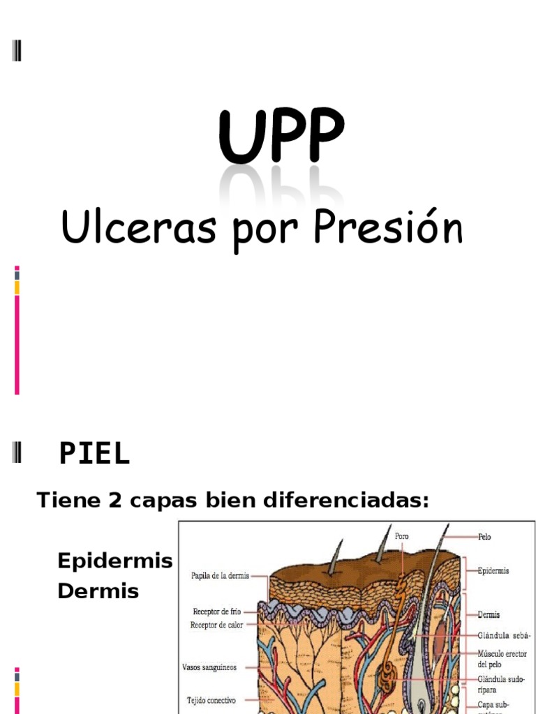 UPP.ppt | Piel | Especialidades médicas