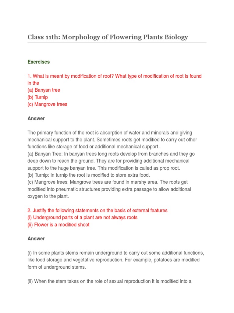 Class 11th Morphology Of Flowering Plants Solutions Pdf Petal Flowers