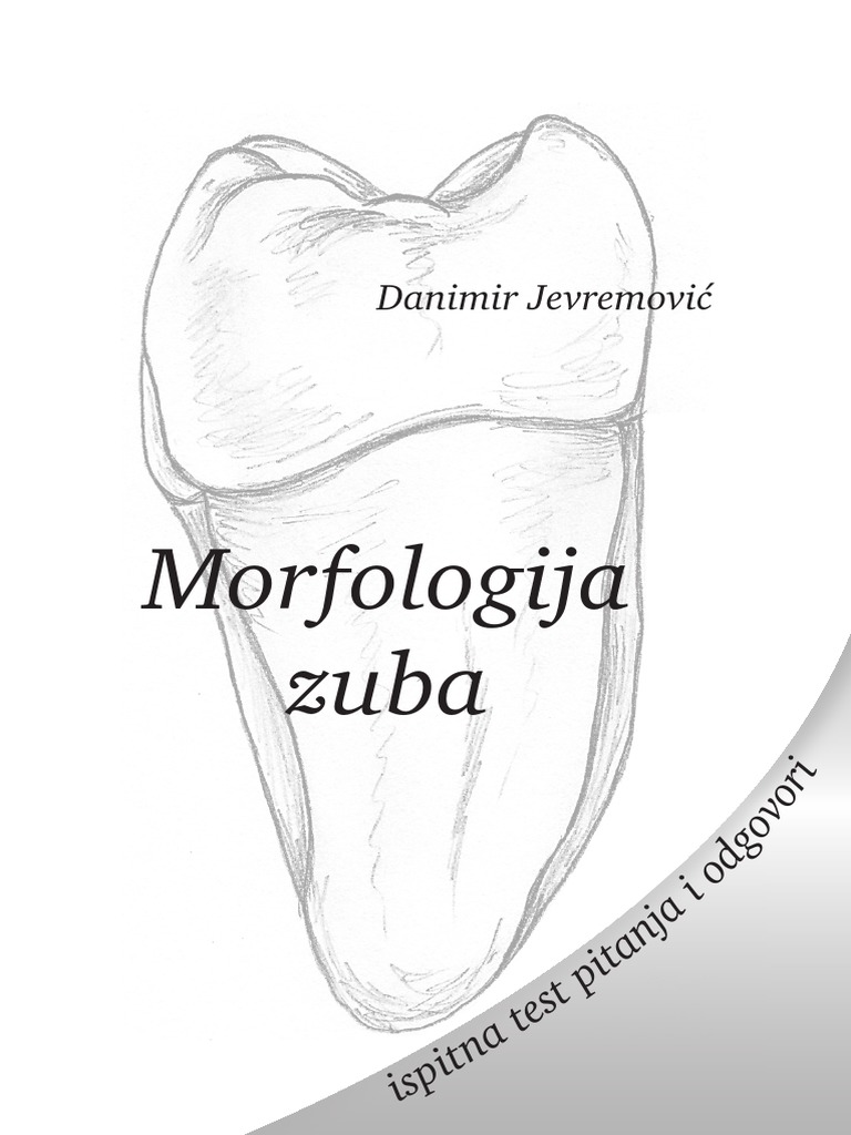 Morfologija Zuba | PDF