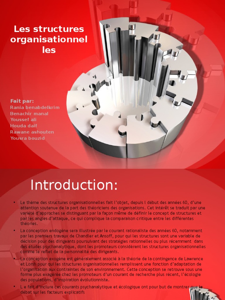 Comprendre les Structures Organisationnelles | PDF | Business ...