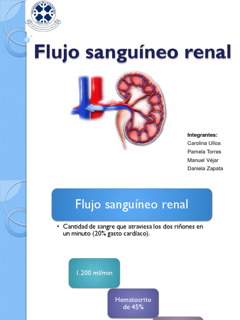 Flujo_renal_1_.pdf