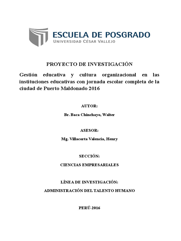 Proyecto de Walter Baca | PDF | Cultura organizacional | Planificación