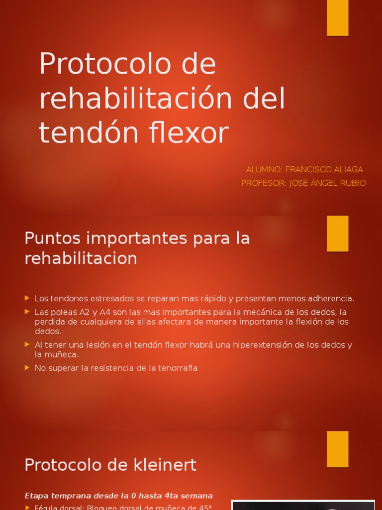 Protocolo de Rehabilitación Del Tendón Flexor | PDF | Ciencia y matemática