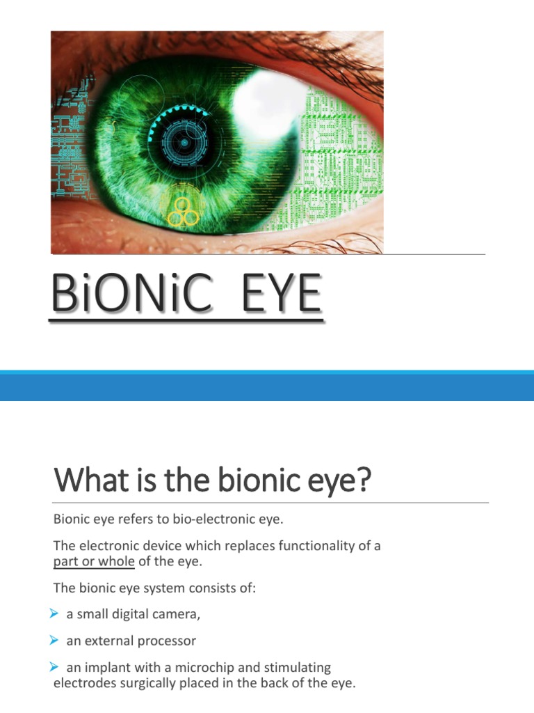 BiONiC EYE Seminar | PDF | Visual System | Retina