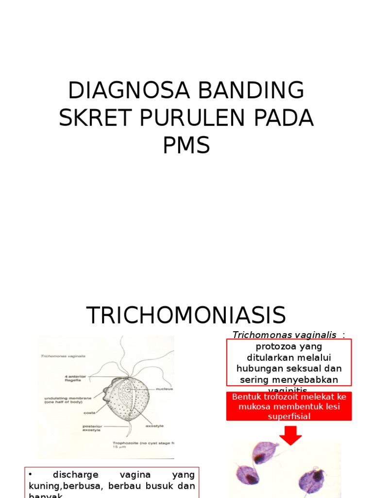 Diagnosa Banding Sekret Purulen Pada Pms | PDF