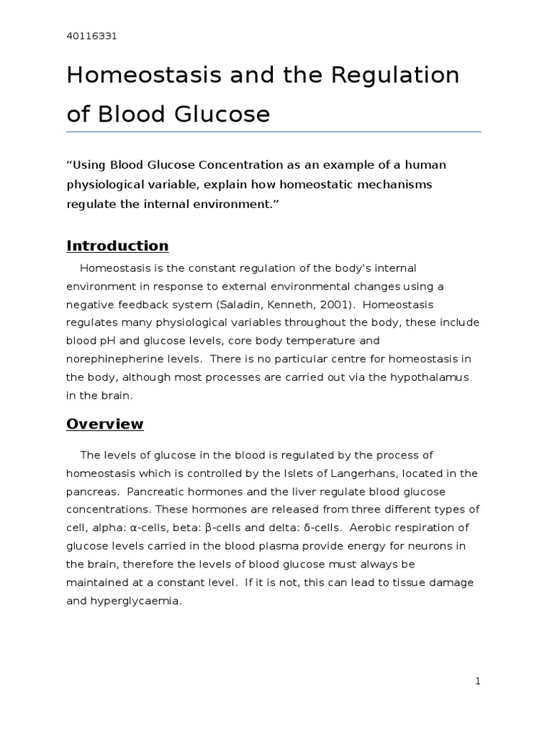 Blood Glucose Homeostasis Explained | PDF | Homeostasis | Insulin