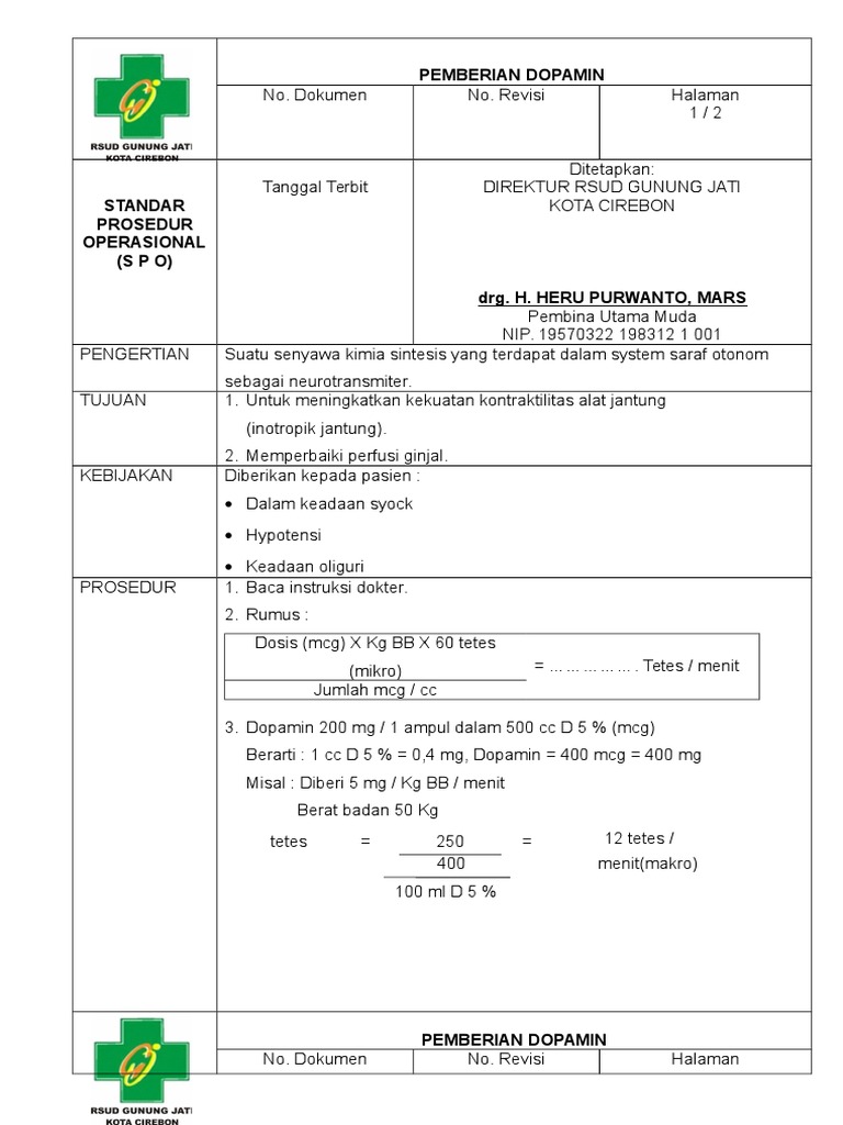 SPO Pemberian Dopamin HCU | PDF