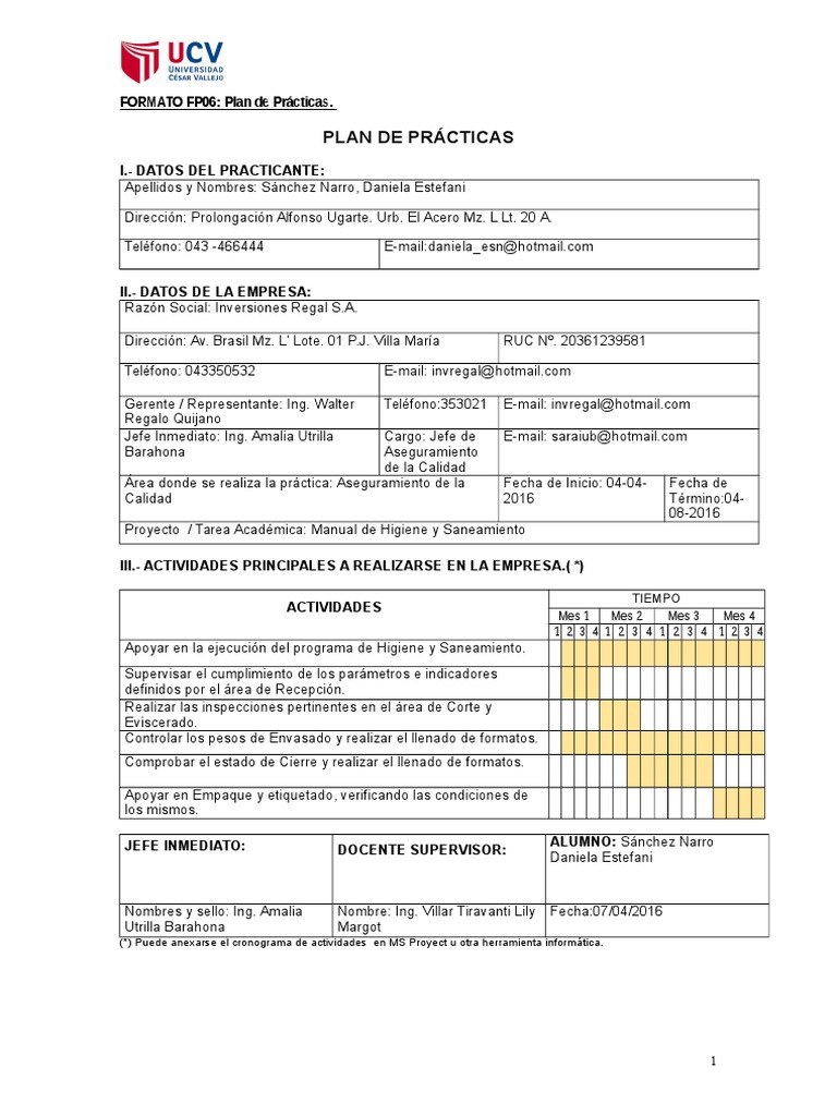 Formato Fp006 - Plan de Practicas-Ejemplo | PDF
