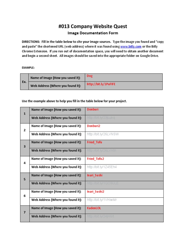 #013 Company Website Quest: Image Documentation Form | PDF ...