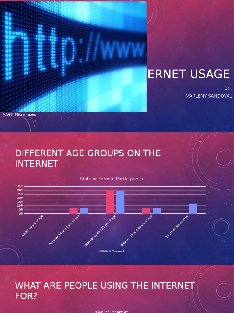 Internet Usage | PDF